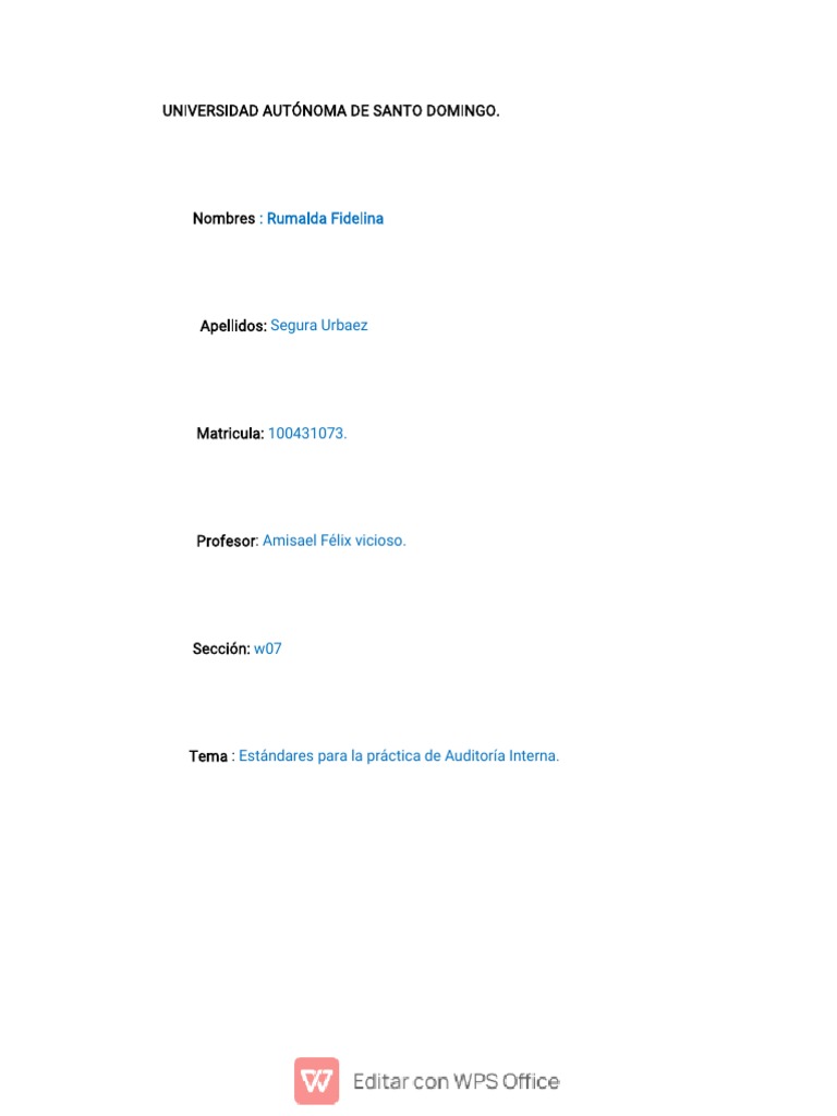 Auditoría Interna - Estándares para La Práctica de Auditoría Interna | PDF