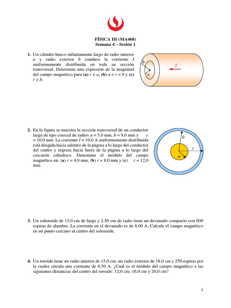 03 Ejercicios de Aplicación de La Ley de Ampere | PDF | Campo magnético | Física