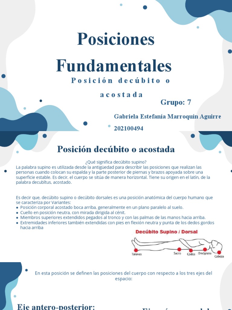 Posicion | PDF | Términos anatómicos de ubicación | Anatomía