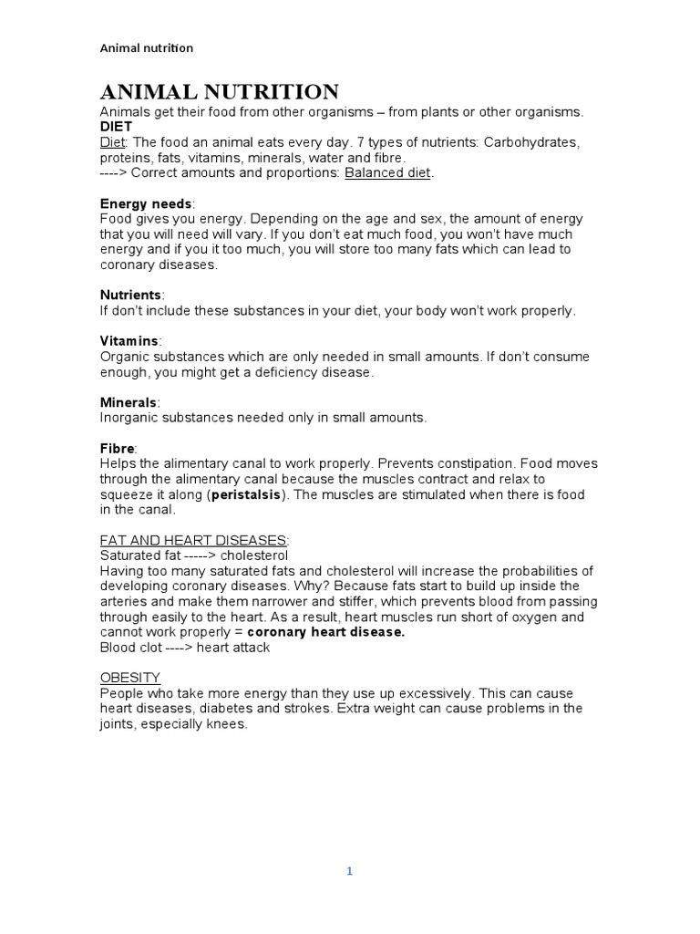 A Comprehensive Overview of Animal Nutrition - From Diet and Digestion ...