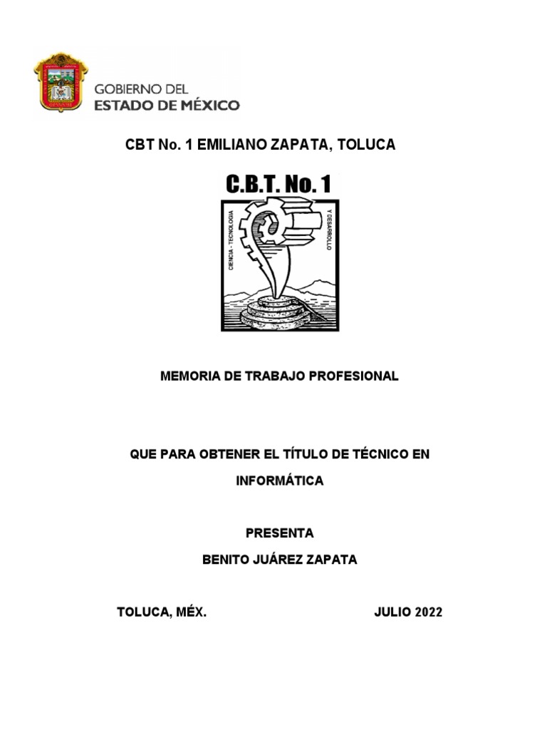 Memoria de Trabajo Profesional en Informática | PDF