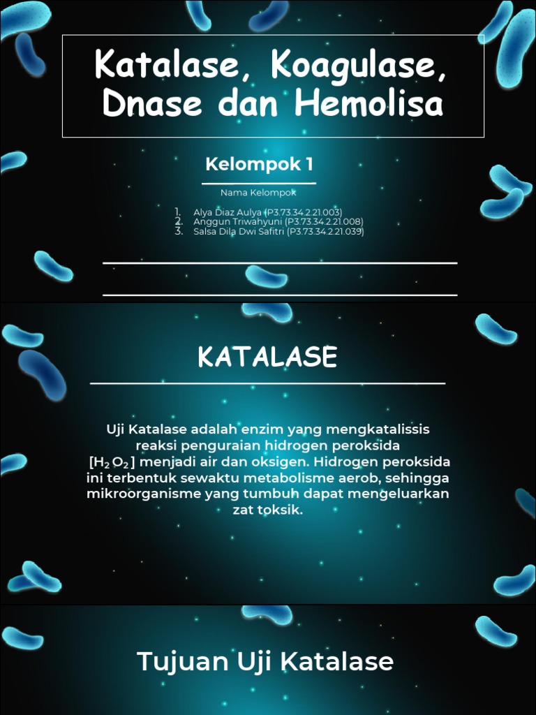 Uji Biokimia Bakteri Gram Positif | PDF