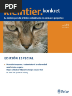 Manejo de la ERC en gatos según IRIS | PDF | Aspirina | Medicamentos ...