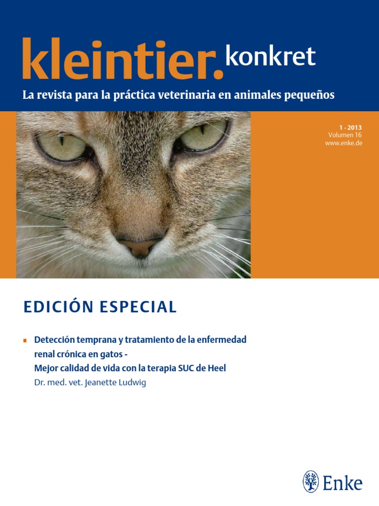 Detección Temprana y Tratamiento de La Enfermedad Renal Crónica en ...
