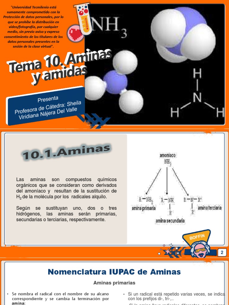 Nomenclatura y Propiedades de Aminas y Amidas | PDF | Amida | Amina