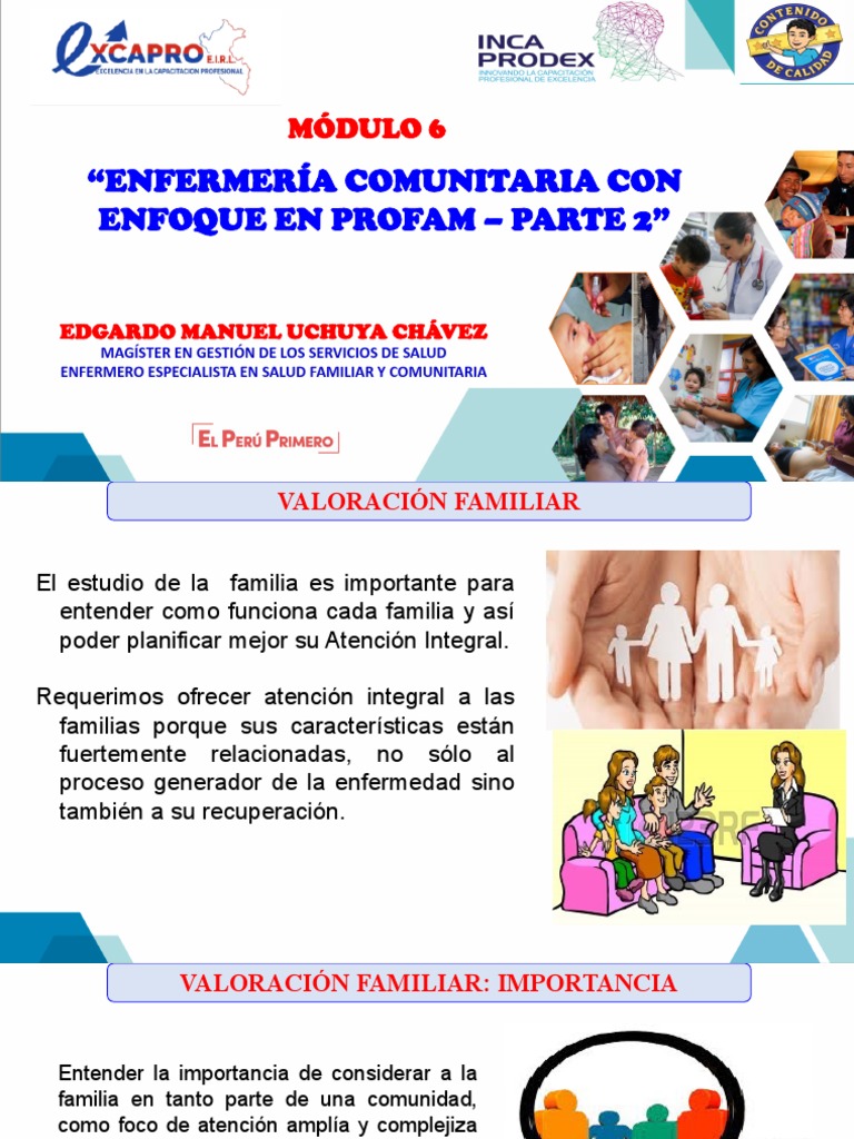 Diplomado Modulo 6 Enfermeria Comunitaria Con Enfoque en Profam Parte 2 | PDF | Enfermería ...