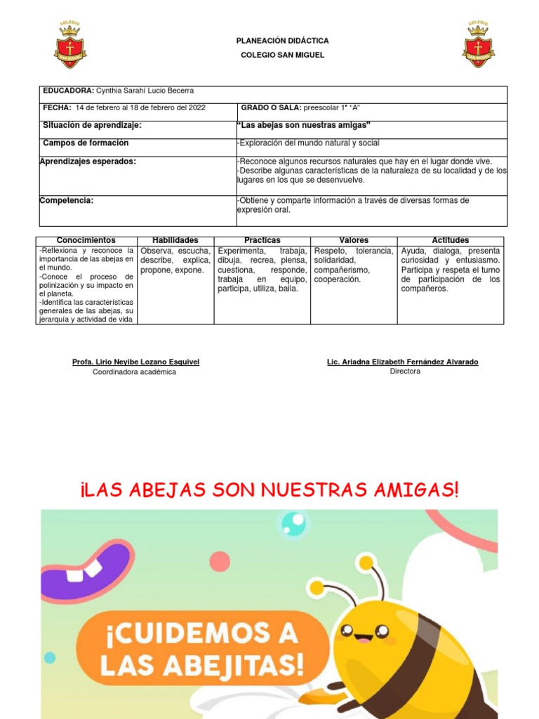 Las Abejas Son Nuestras Amigas - Planeación 1 A | PDF | Abejas ...