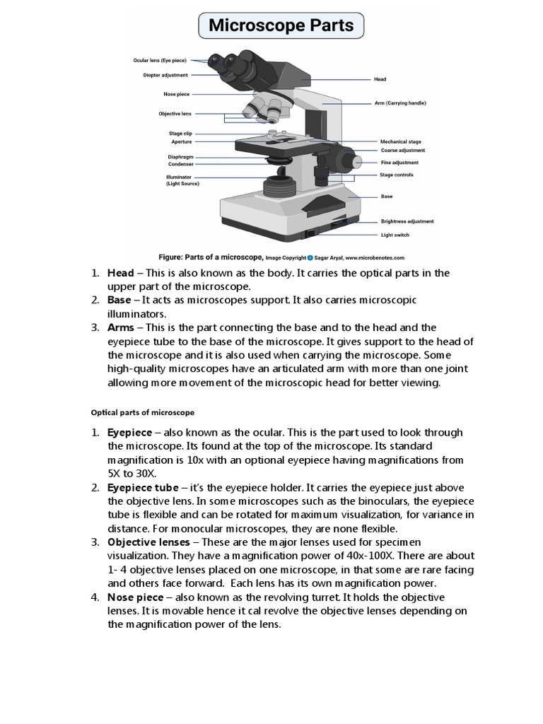 Parts of Microscope | PDF | Optical Devices | Electrodynamics