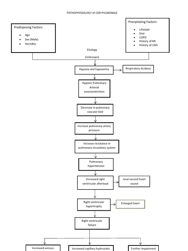 (Cor Pulmonale) PATHOPHYSIOLOGY | PDF