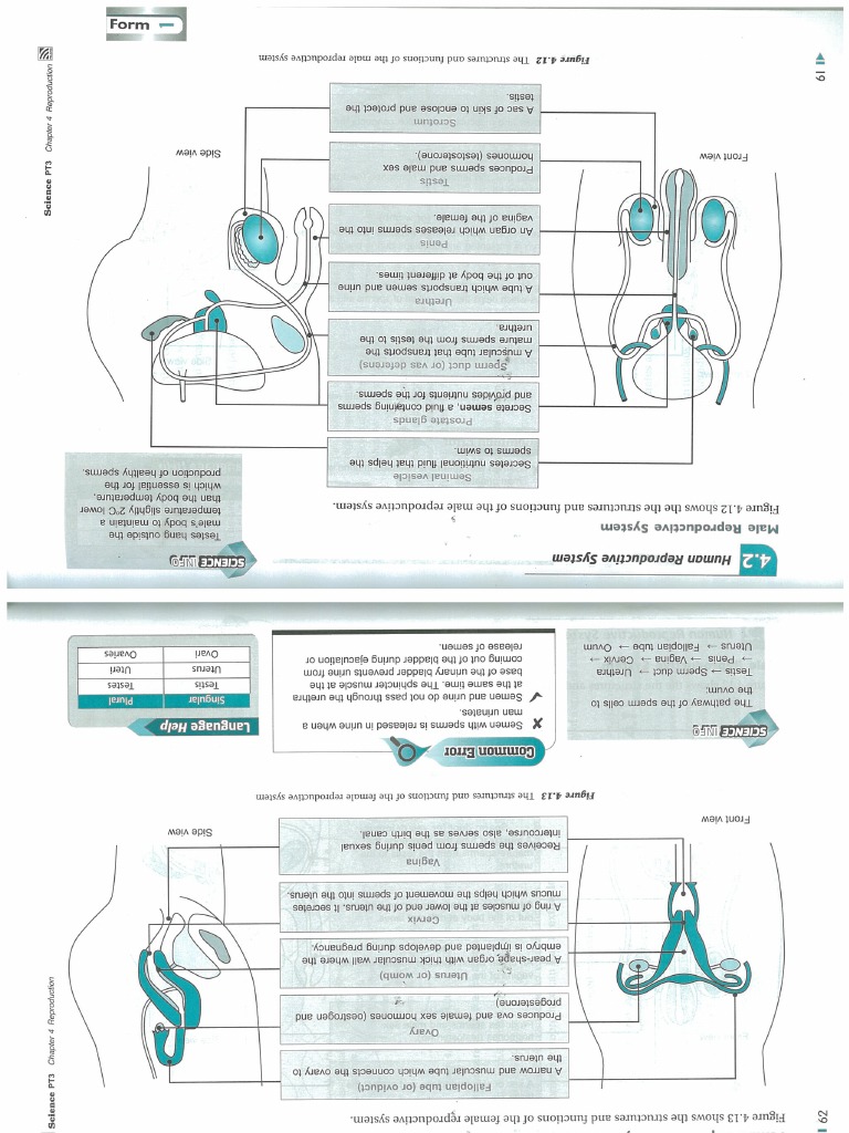 Form 1 Science Chapter 4 Reproduction Note Part 2 | PDF