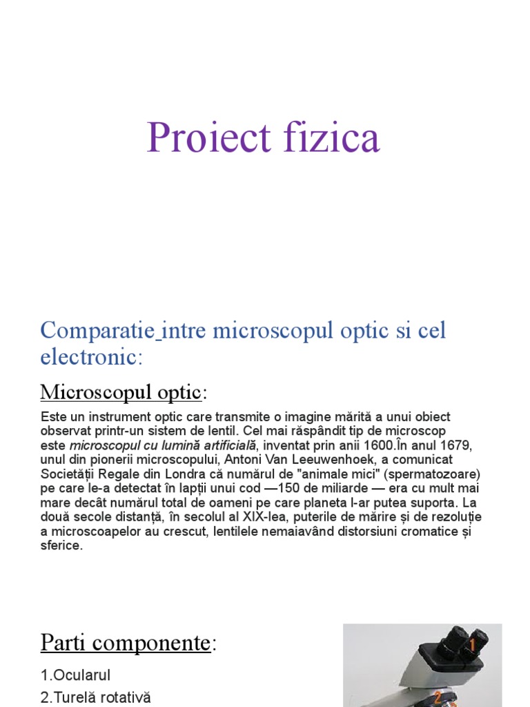 Proiect Fizica | PDF
