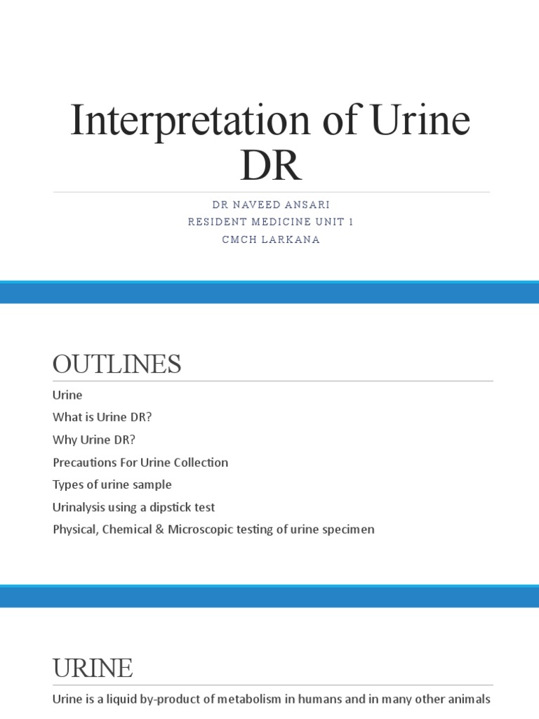 Interpretation of Urine DR | PDF | Urinary Tract Infection | Urine