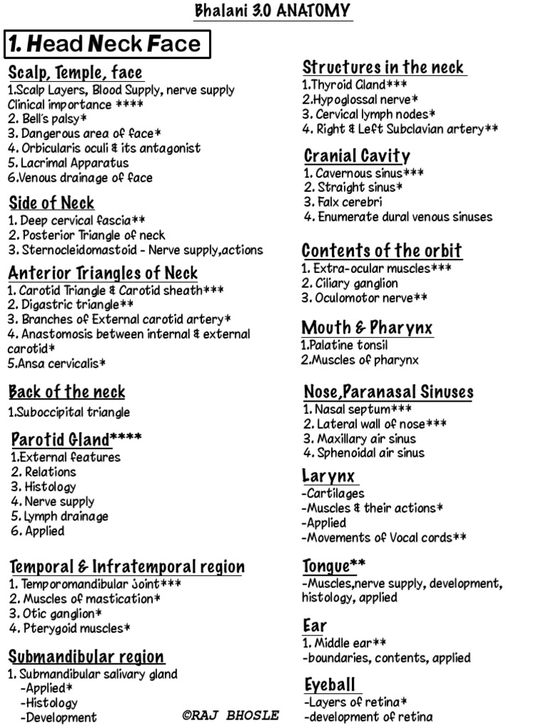 Bhalani | PDF | Human Leg | Breathing