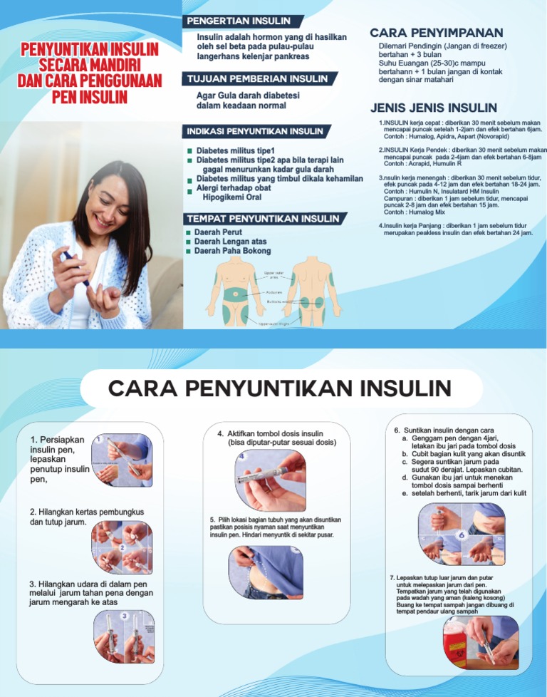 Penggunaan Insulin | PDF