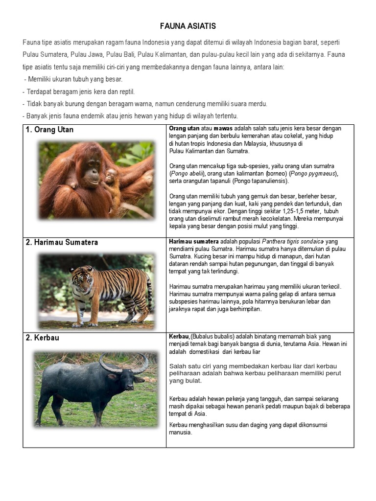 Ciri-Ciri Fauna Tipe Asiatis | PDF