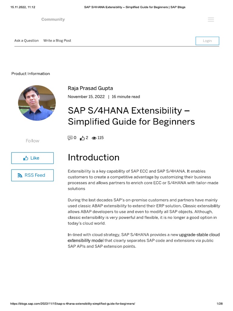 SAP S - 4HANA Extensibility - Simplified Guide For Beginners | PDF