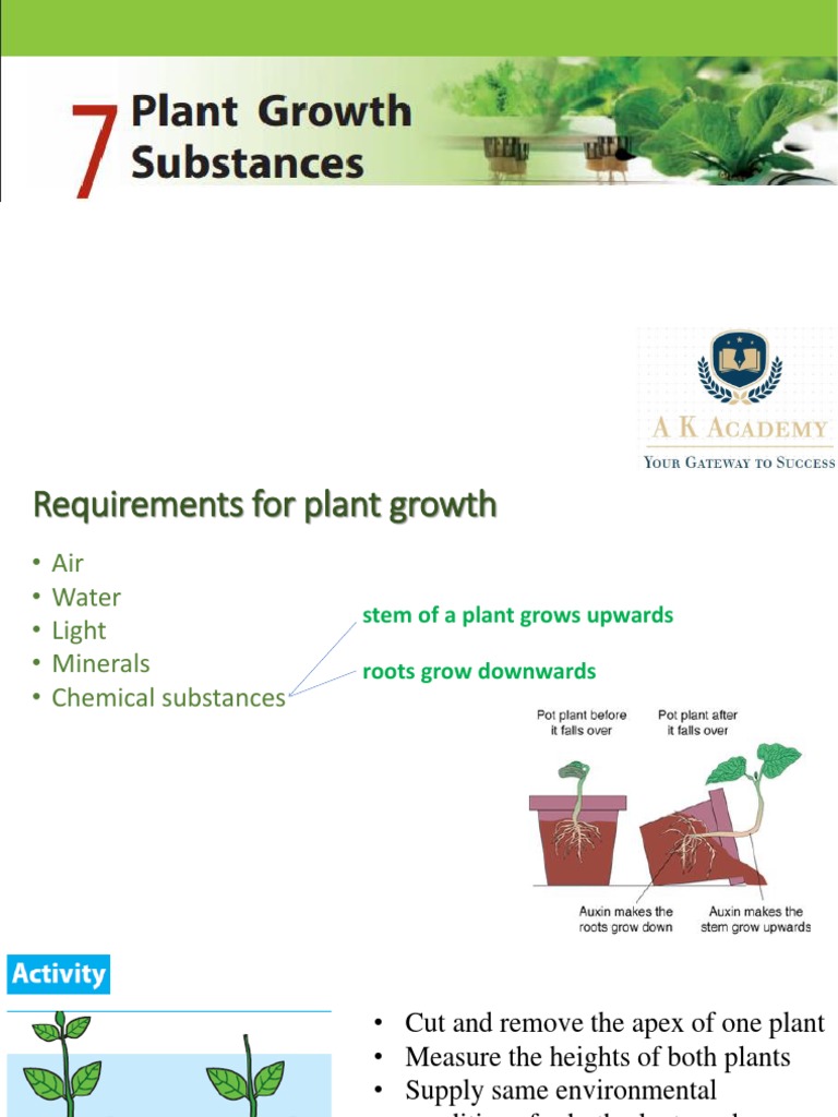 The Role of the Apex and Plant Growth Hormones in Regulating Plant ...