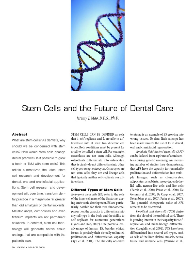 Stem Cells and The Future of Dental Care | Download Free PDF | Stem ...