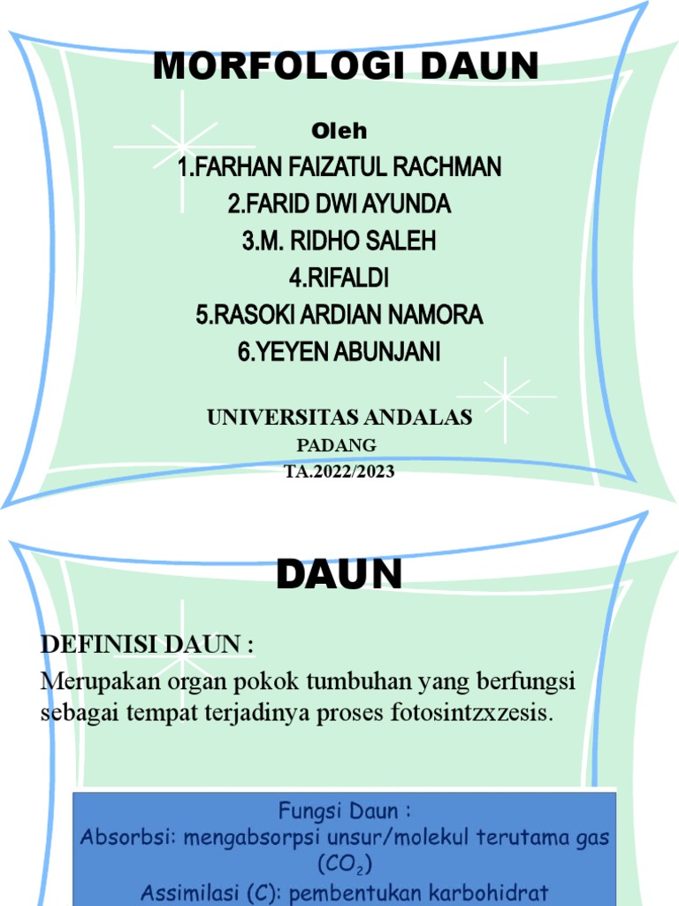 Morfologi Daun - Kelompok 2 | PDF