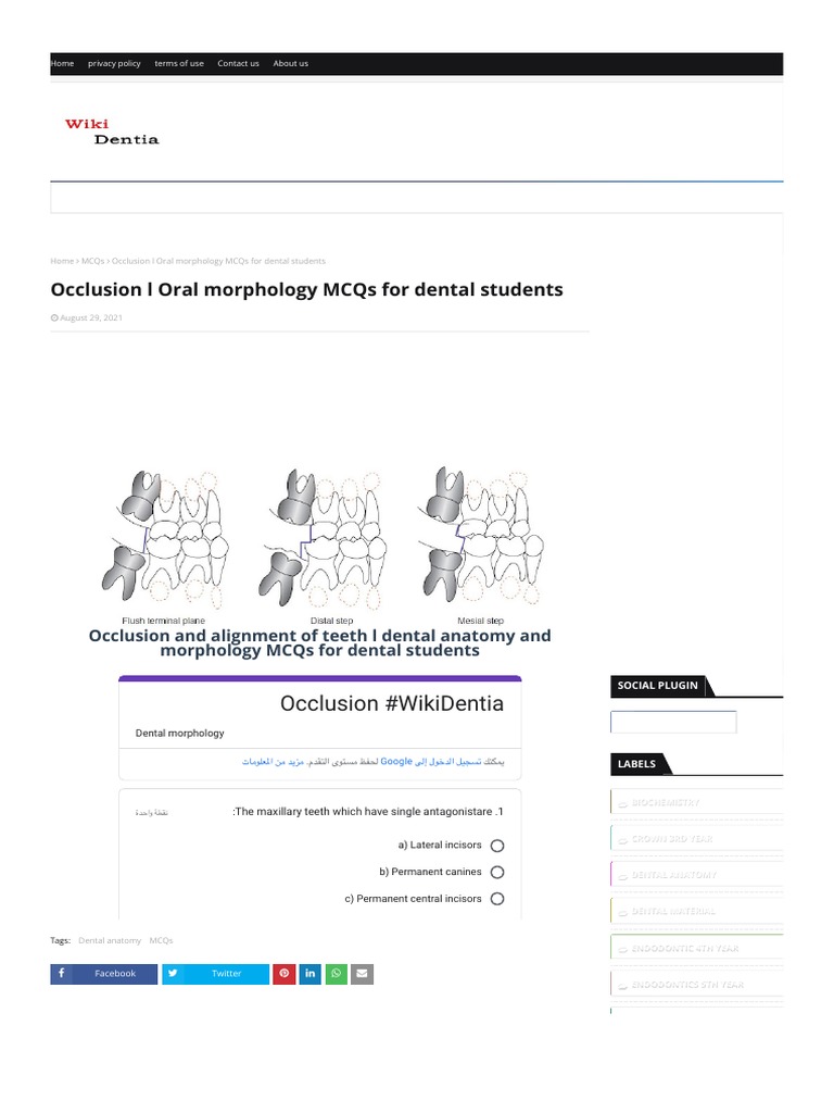 Occlusion L Oral Morphology MCQs For Dental Students - WikiDentia | PDF