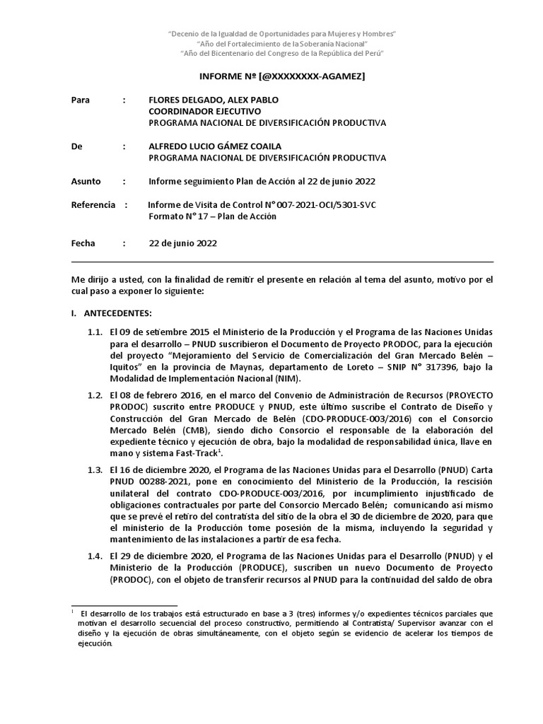 Informe Plan de Acción 22.06 | PDF | Presupuesto | Perú