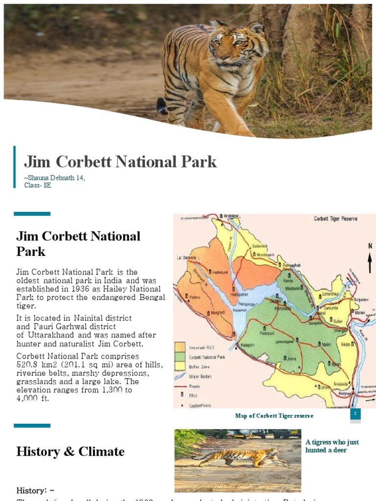 Biology Project | PDF | Tiger | Organisms