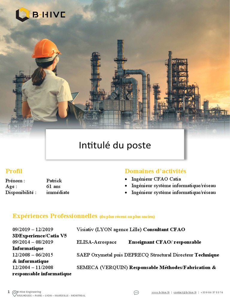 B-Hive Engineering Dossier de Compétences-Patrick-DeLPLACE | PDF