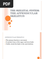 Osteology of The Goat | PDF | Vertebra | Vertebral Column