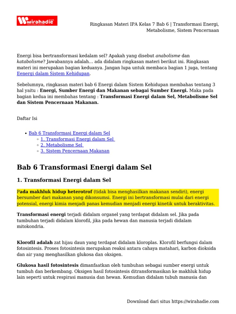 Ringkasan Materi IPA Kelas 7 Bab 6 - Transformasi Energi, Metabolisme, Sistem Pencernaan | PDF