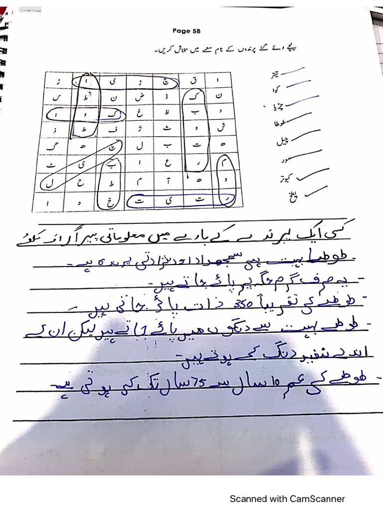 Urdu Assignment 13 | PDF