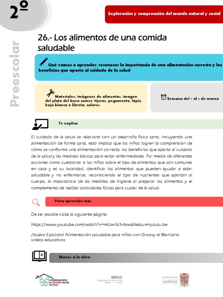 Comida Saludable | PDF