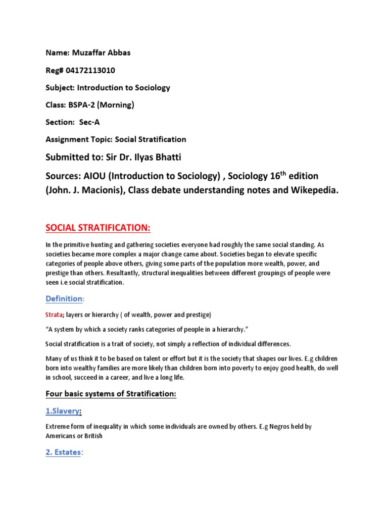 Sociology Assignment | PDF | Social Stratification | Society