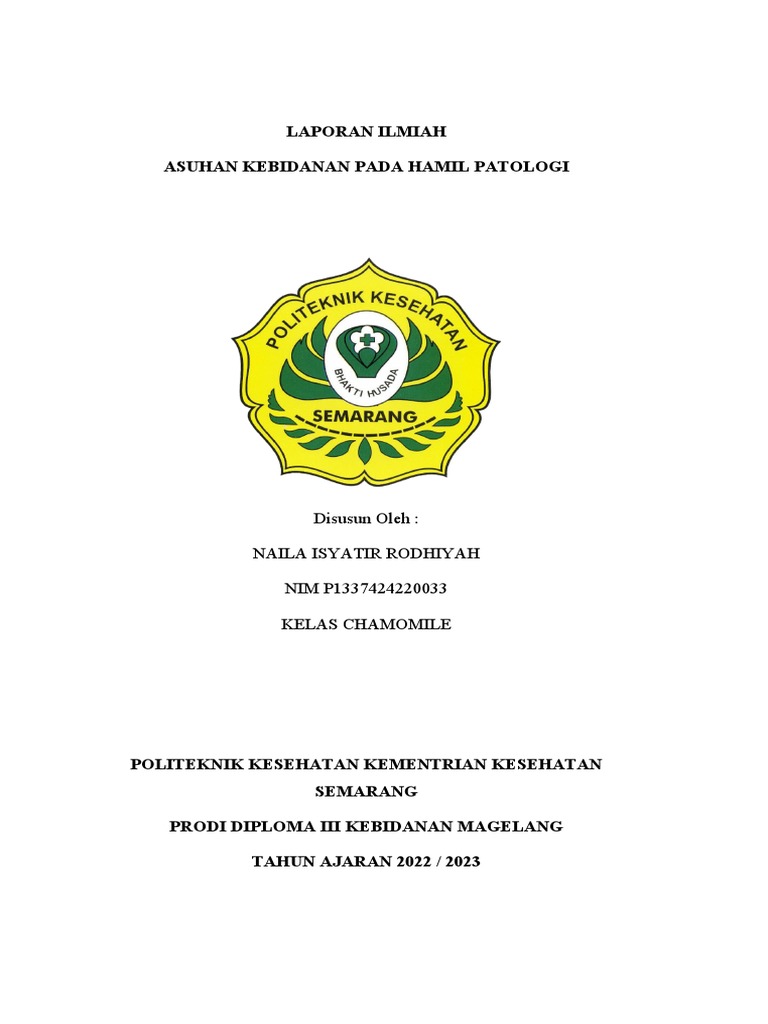 Laporan Ilmiah Askeb Hamil Patologi Dengan Heg | PDF