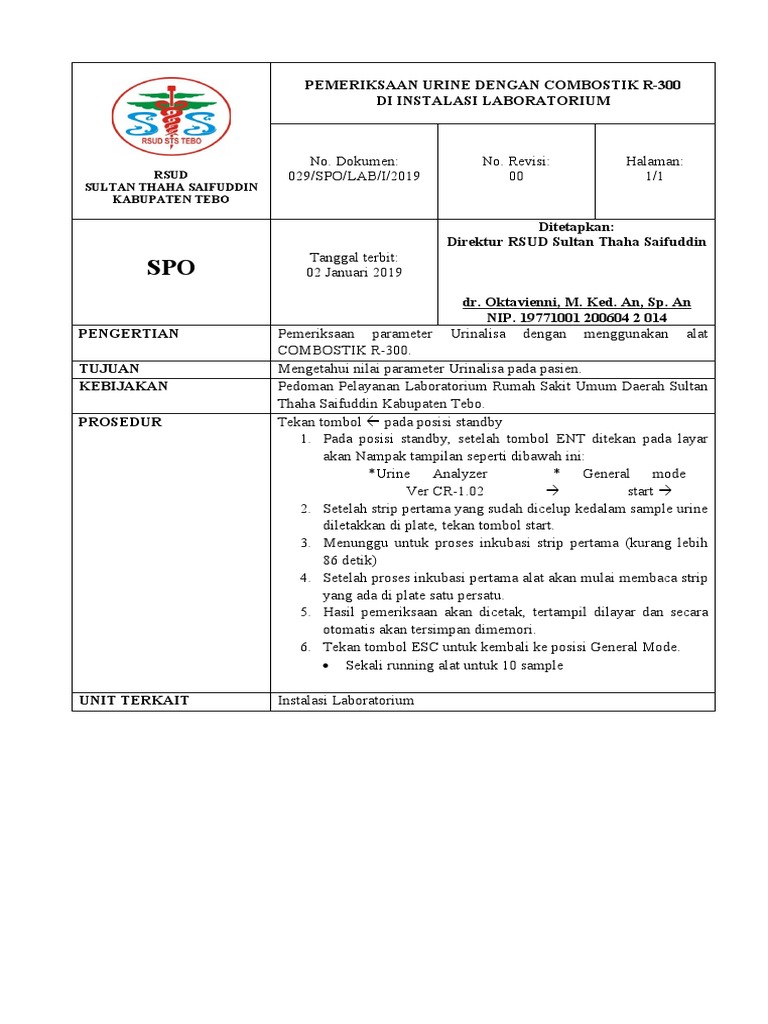 Pemeriksaan Urine dengan Combostik R-300 | PDF