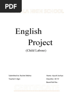 Class 12 Als Project | PDF