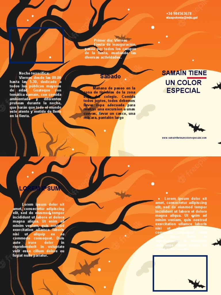 Triptico Ingles | PDF