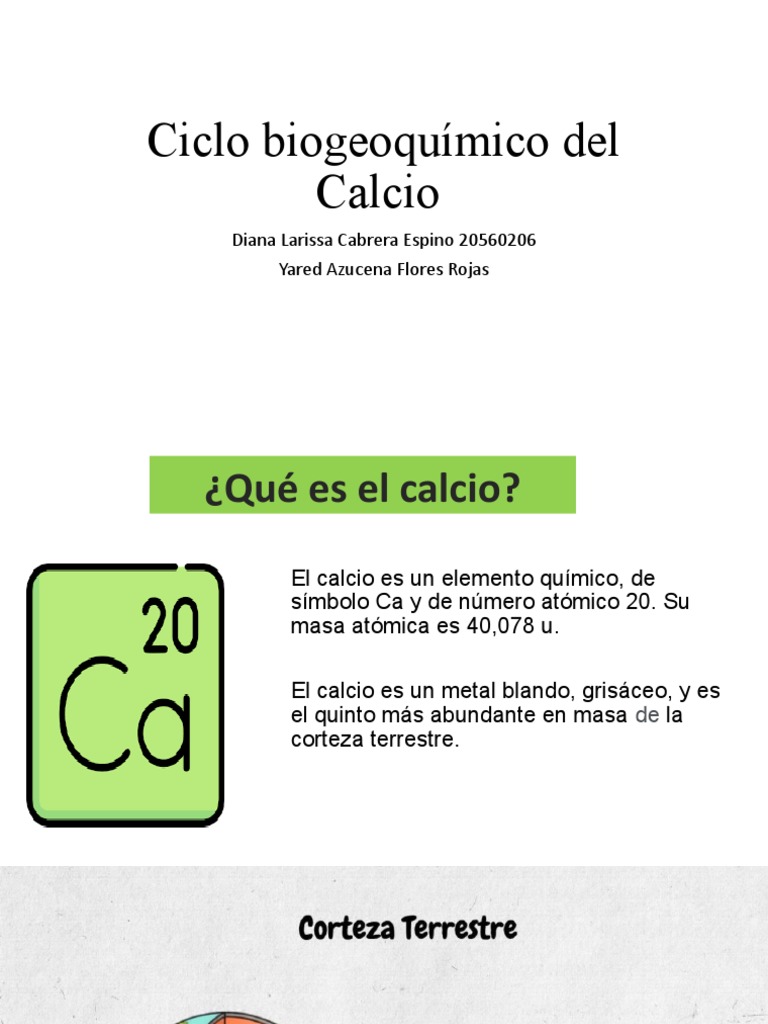 Ciclo Biogeoquímico Del Calcio | PDF | Calcio | Sustancias químicas