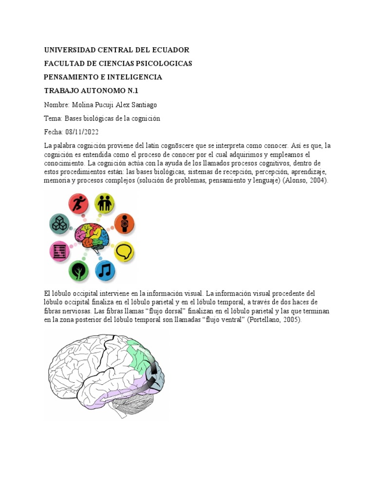 Bases Biologicas de La Cognicion | PDF | Neurociencia | Ciencia cognitiva