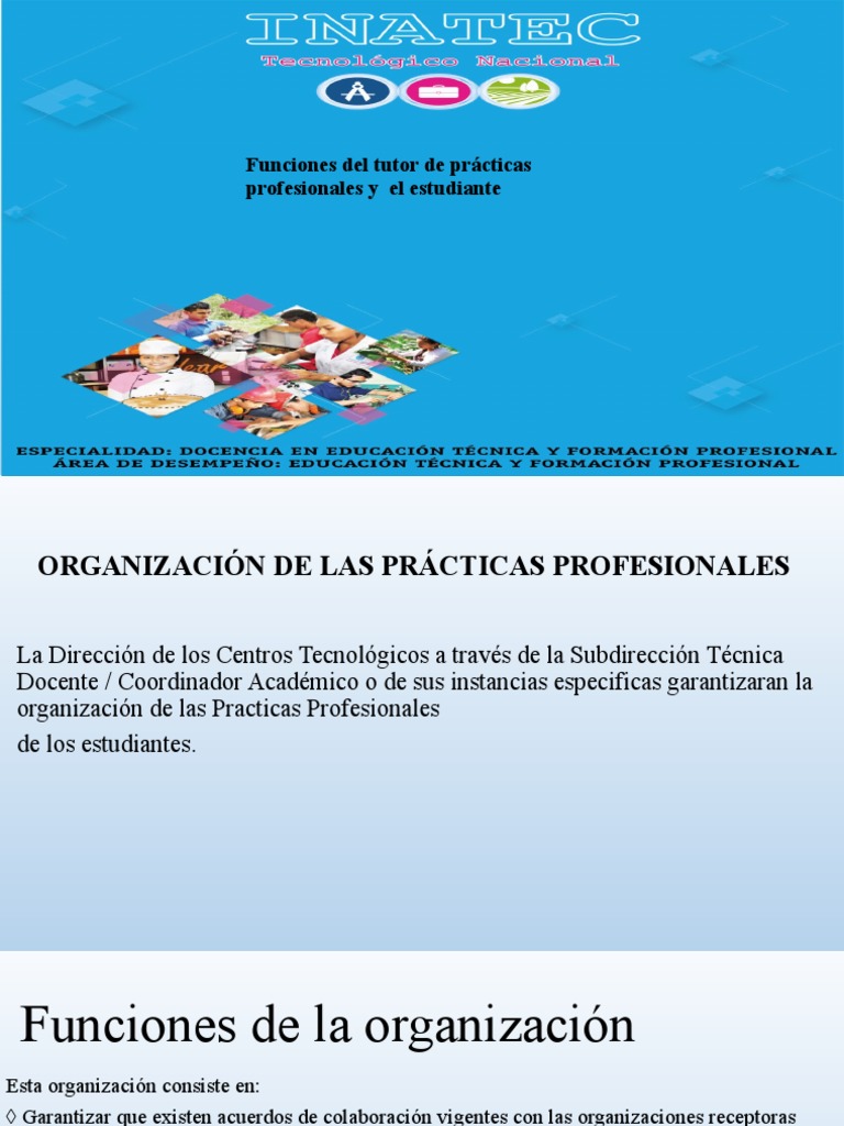 Funciones Del Tutor de Prácticas Profesionales y El Estudiante. | PDF | Maestros