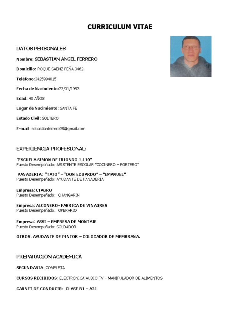 Curriculum Vitae Sebastian | PDF
