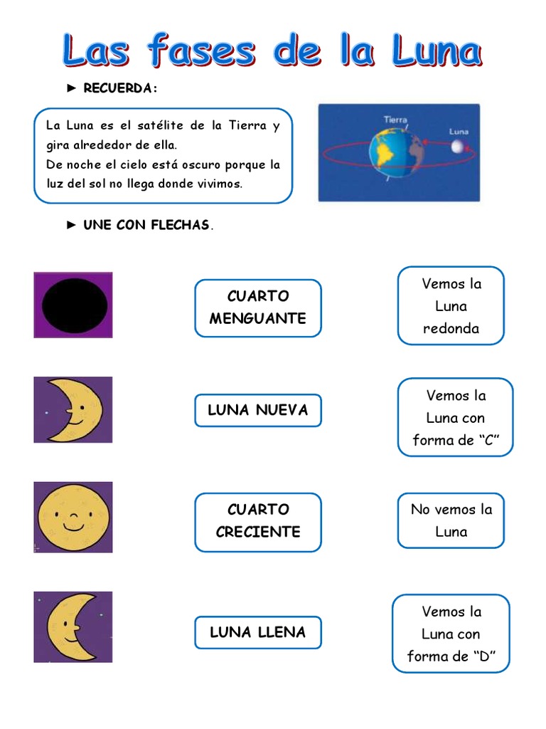Fases de la Luna para Niños | PDF