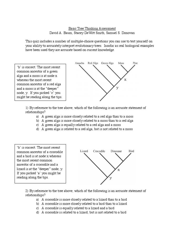 Tree Thinking Answers | PDF | Phylogenetic Tree | Plants