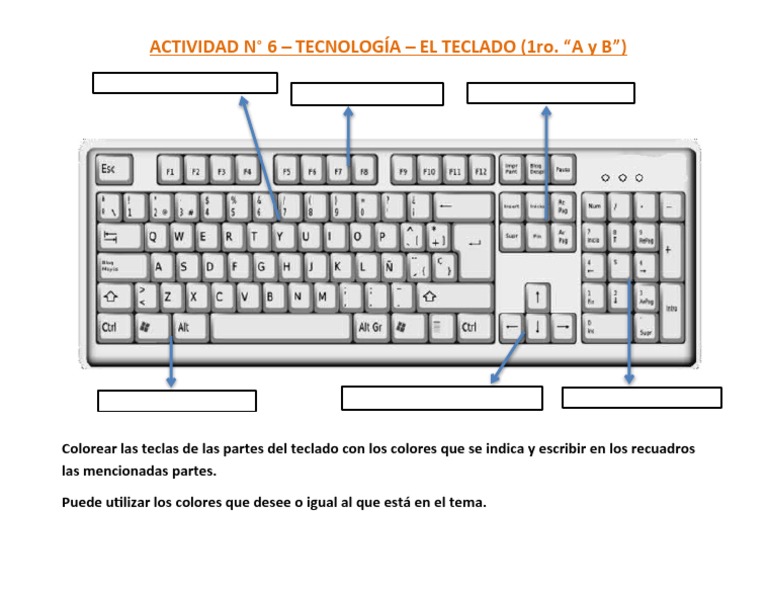 Colorea las partes del teclado | PDF