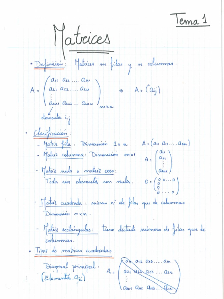 Tema 1 - Matrices | PDF