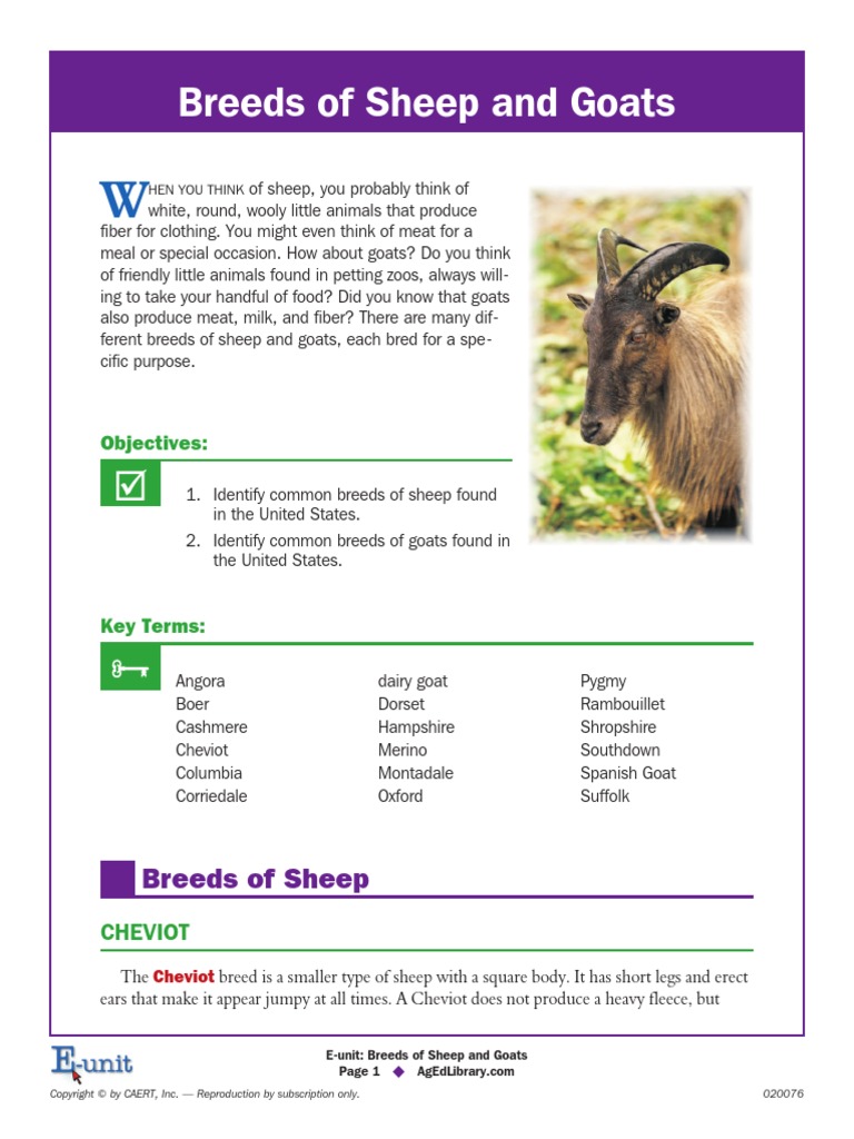 Breeds of Sheep and Goats | PDF