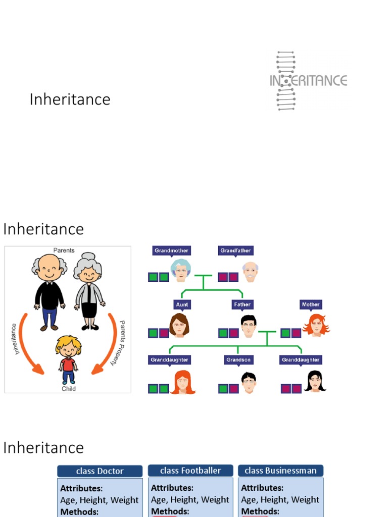 Inheritance Abstractclass Interface Pdf Inheritance Object Oriented Programming Class