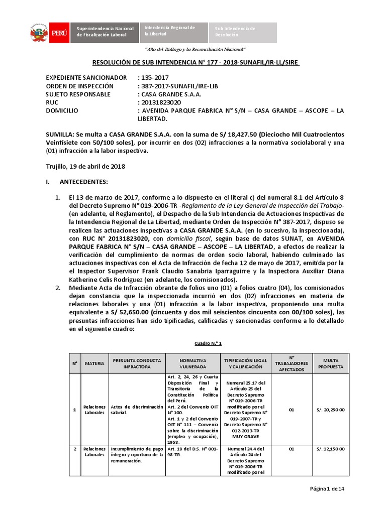 387-2017 CASA GRANDE SAA - Homologación | PDF