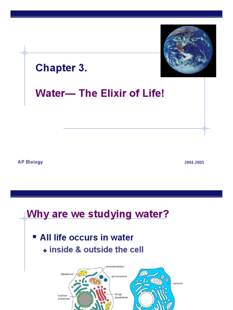 Water's Role in Life and Biology | PDF | Wellness | Science & Mathematics