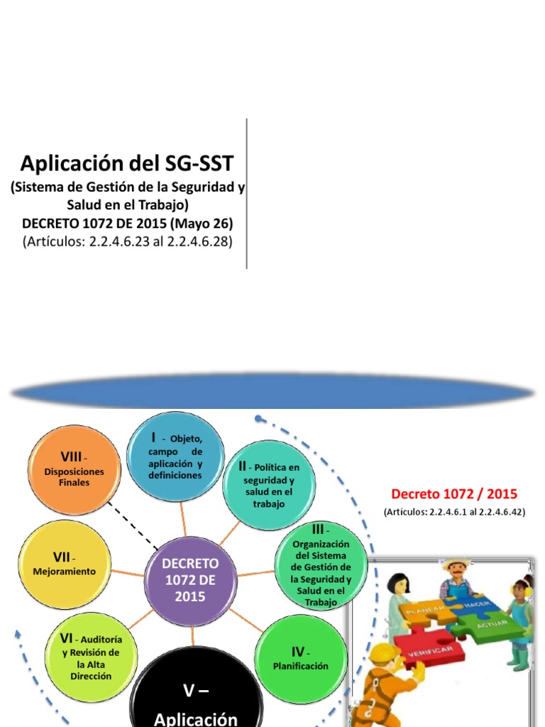 Aplicacion Del SG-SST | PDF