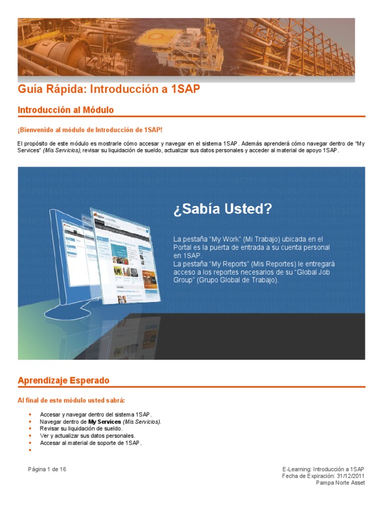 05.08.11 - Introduction To 1SAP | PDF